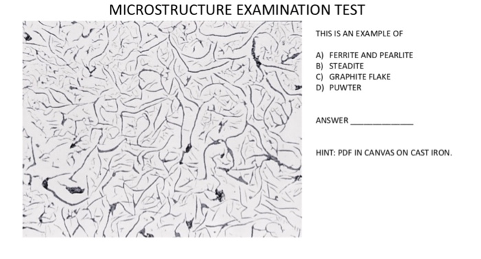 Solved MICROSTRUCTURE EXAMINATION TEST THIS IS AN EXAMPLE OF | Chegg.com