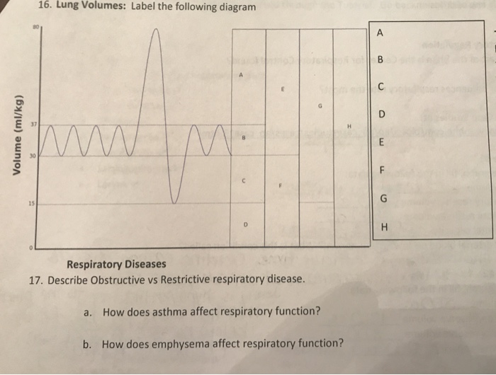 Solved 16. Lung Volumes: Label the following diagram | Chegg.com