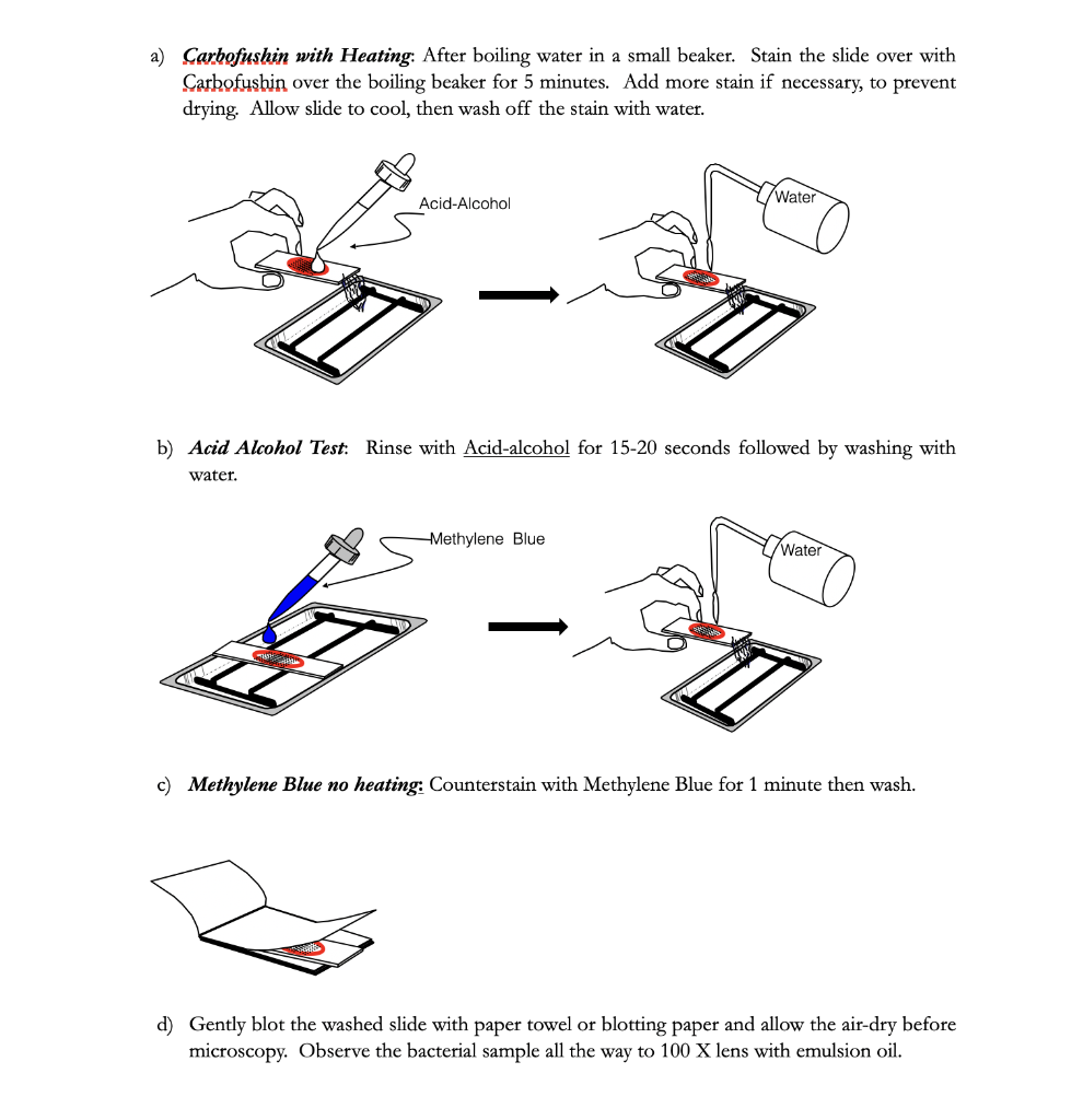 Acid Fast Staining Procedure Ziehl Neelsen Stain: Introduction,