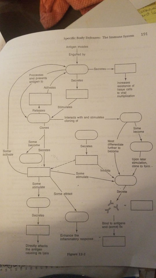 Solved 191 Specific Body Defenses: The Immune System Antigen | Chegg.com