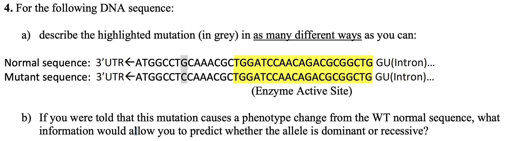 Solved 4. For the following DNA sequence: a) describe the | Chegg.com