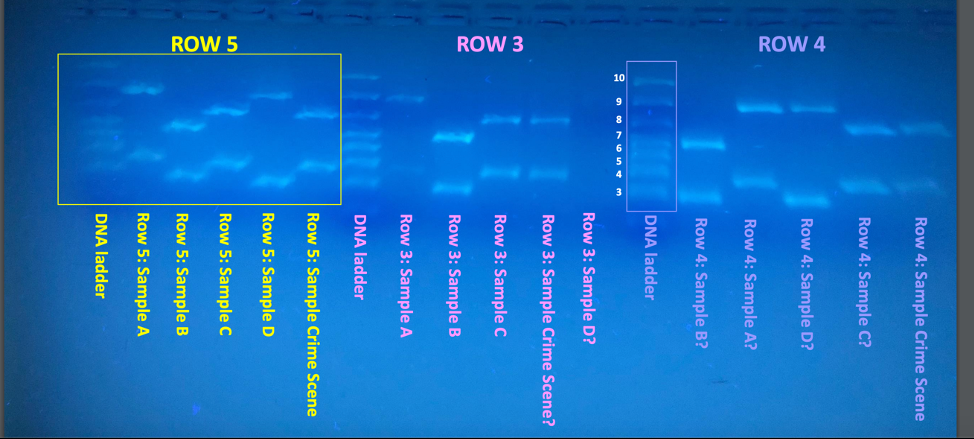 Based on the outcome from the reference sample (AM | Chegg.com