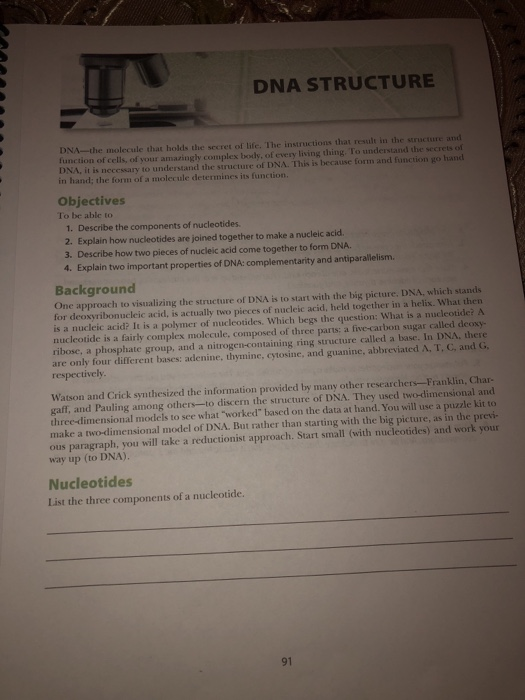 Solved DNA STRUCTURE DNA-the molecule that holds the secret | Chegg.com