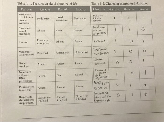 Solved Table 1-1. Features of the 3 domains of life Table | Chegg.com