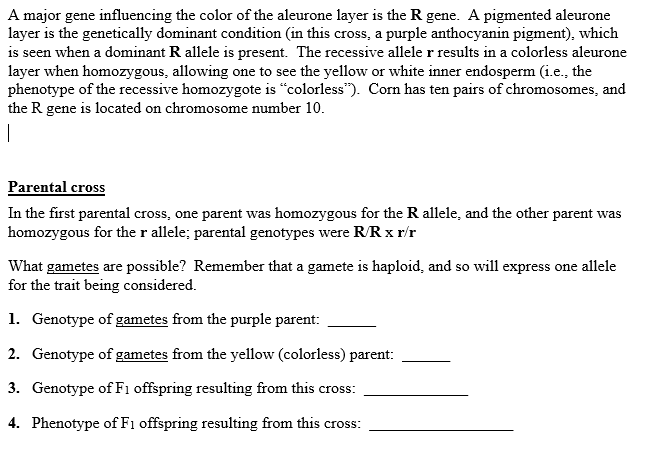 Solved A major gene influencing the color of the aleurone | Chegg.com
