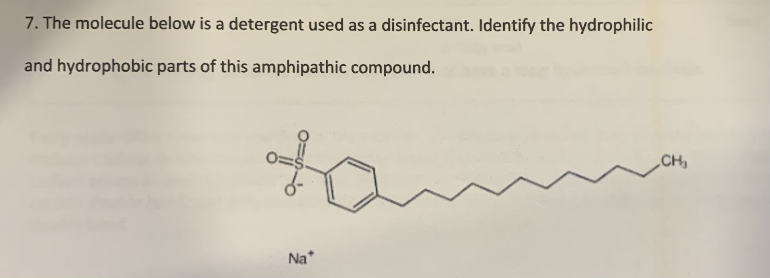 Solved The molecule below is a detergent used as a | Chegg.com