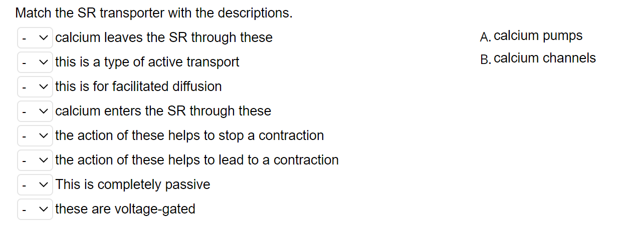 Solved A. calcium pumps B. calcium channels Match the SR | Chegg.com