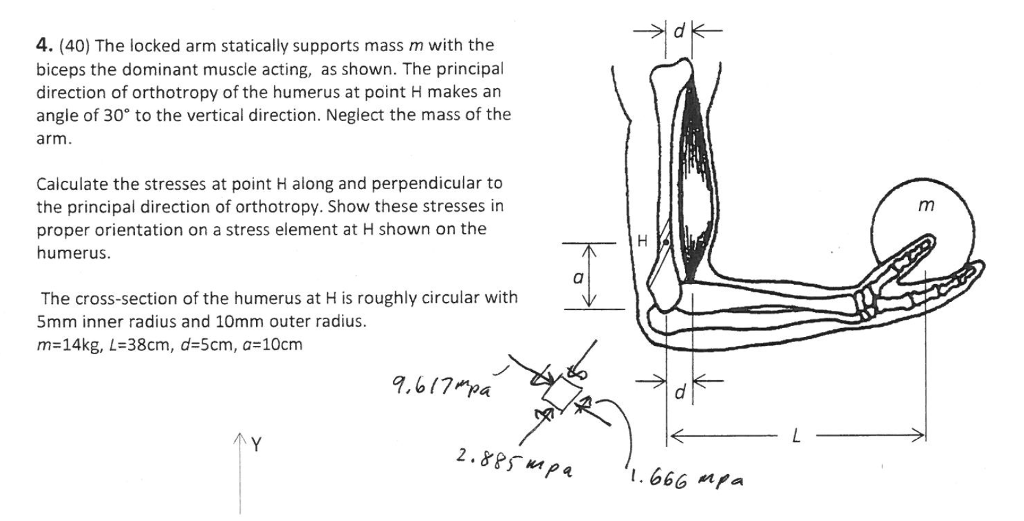 Solved 4. (40) The locked arm statically supports mass m | Chegg.com