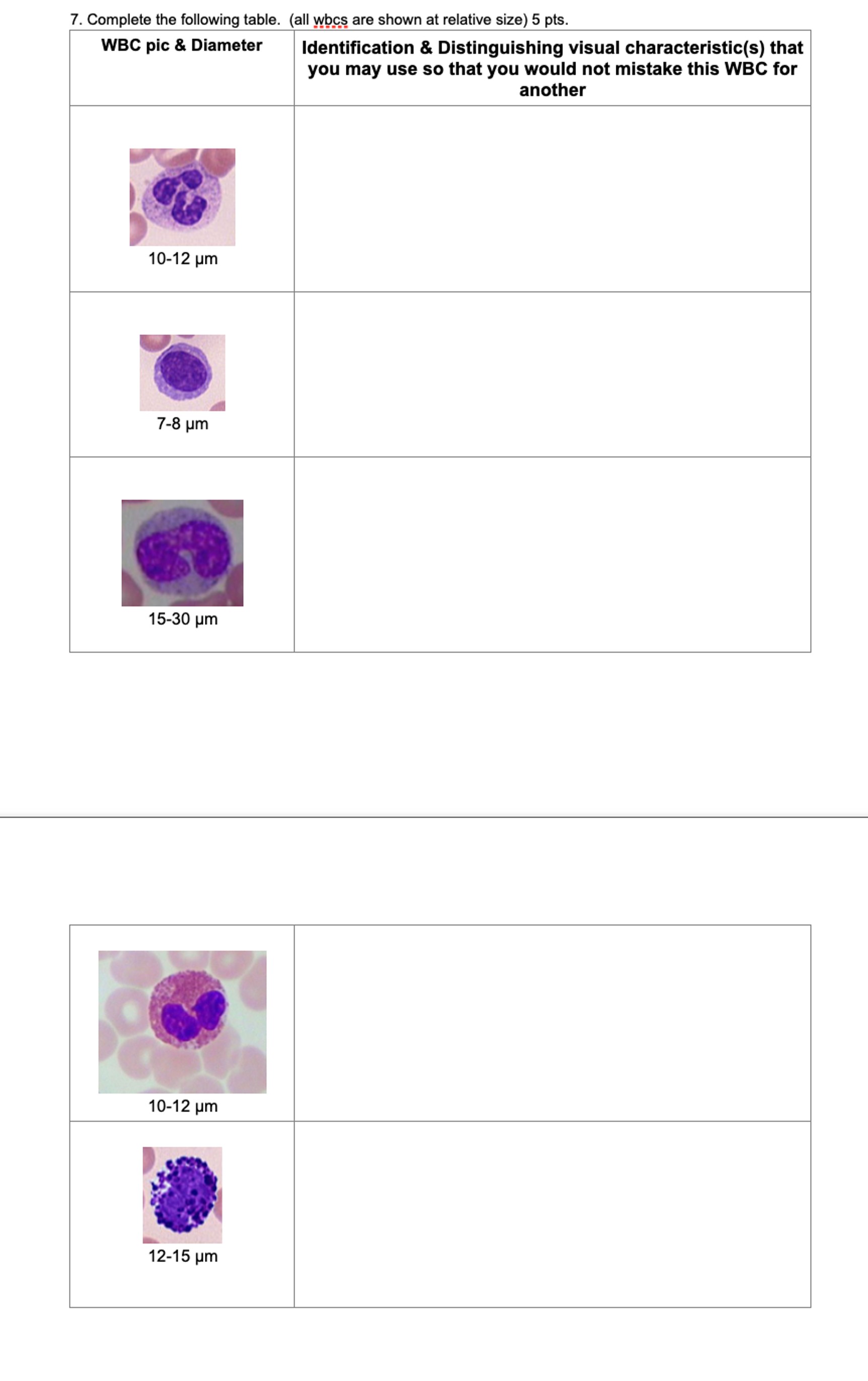 Solved Complete the following table. (all wbcs are shown at | Chegg.com