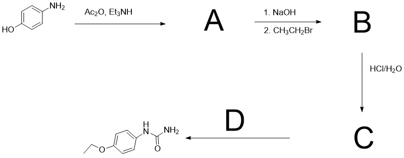 Solved NH2 Ac20, Et3NH 1. NaOH A B HO 2. CH3CH2Br HCI/H20 ZI | Chegg.com