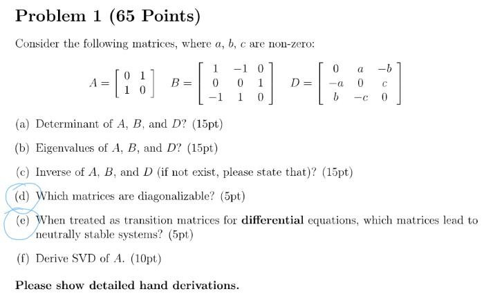 Solved Problem 1. Consider the following matrices, where a, | Chegg.com