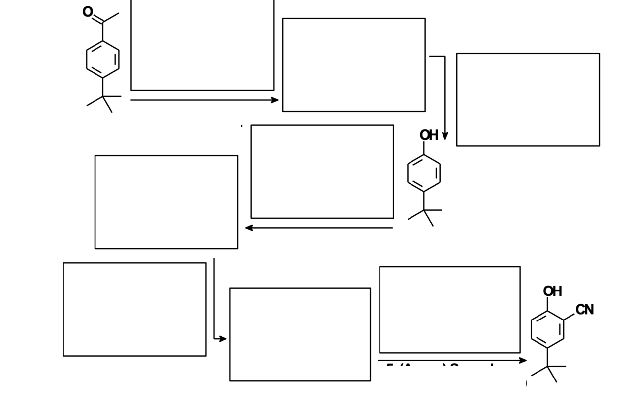 Solved can you please fill in the boxes | Chegg.com