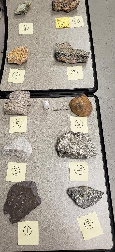 Solved Use the images and tables listed below to identify | Chegg.com