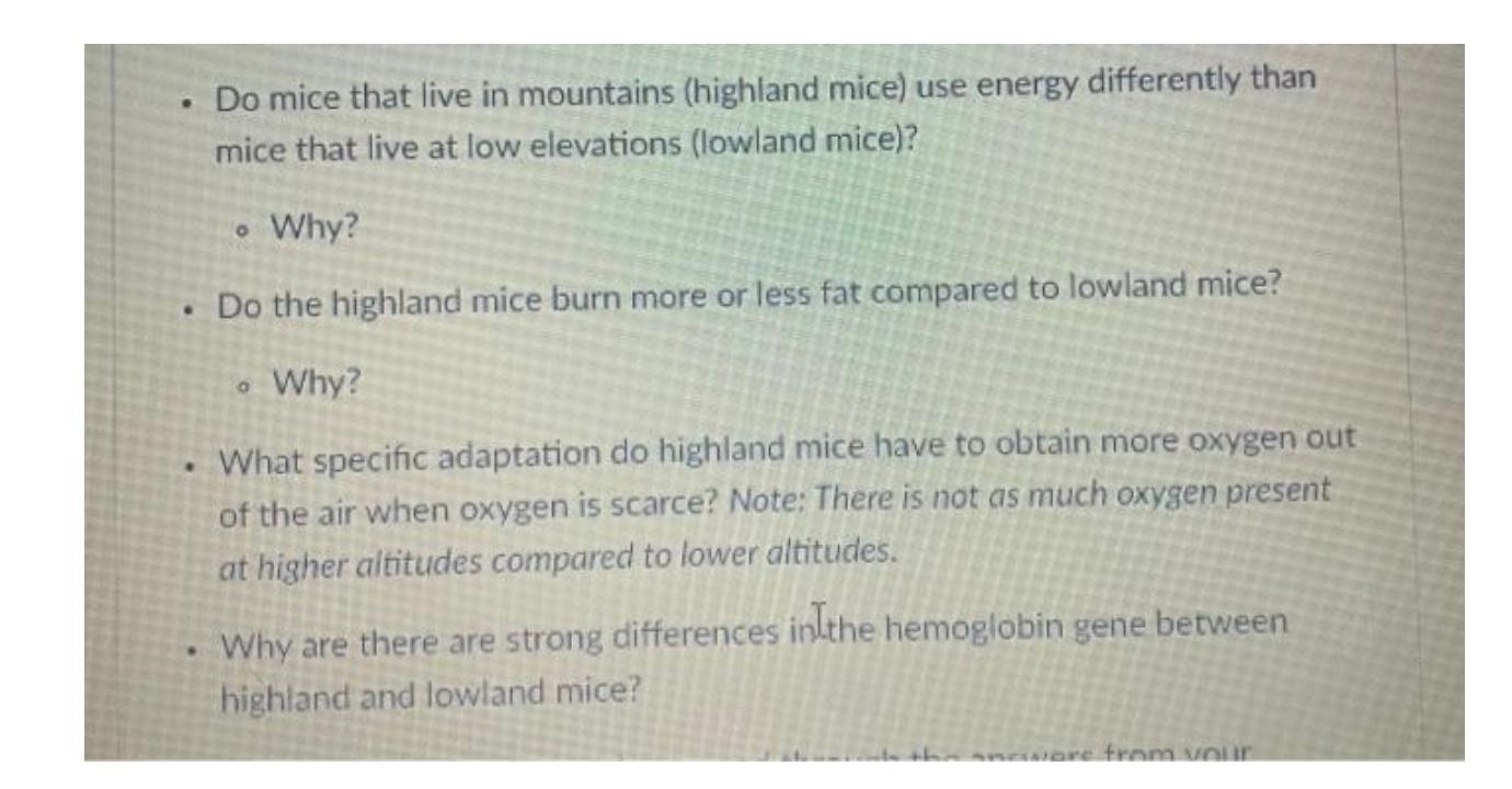 Solved - Do mice that live in mountains (highland mice) use | Chegg.com