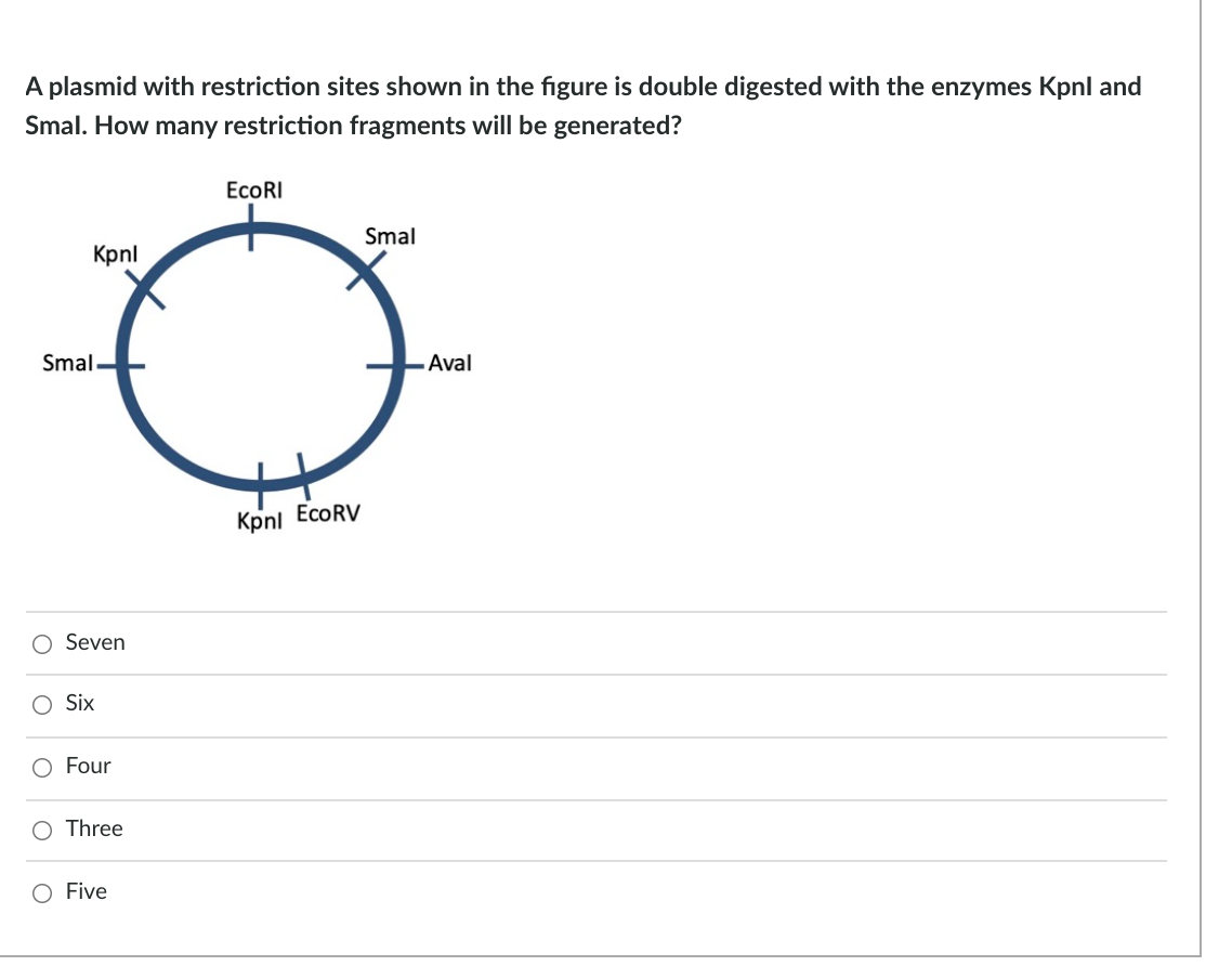 Solved A plasmid with restriction sites shown in the figure | Chegg.com