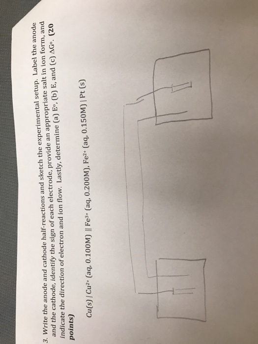 Solved Write the anode and cathode half-reactions and sketch | Chegg.com