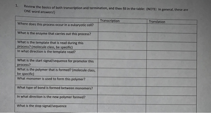 Solved 1. Review the basics of both transcription and | Chegg.com