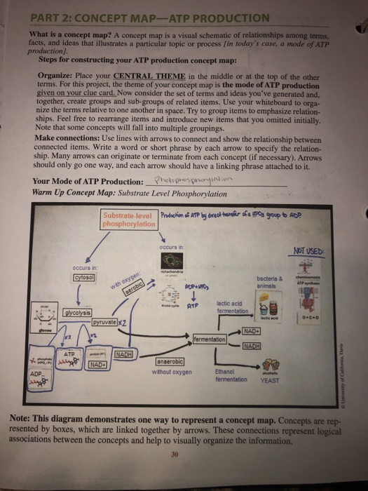Solved PART 2: CONCEPT MAP-ATP PRODUCTION What is a concept | Chegg.com