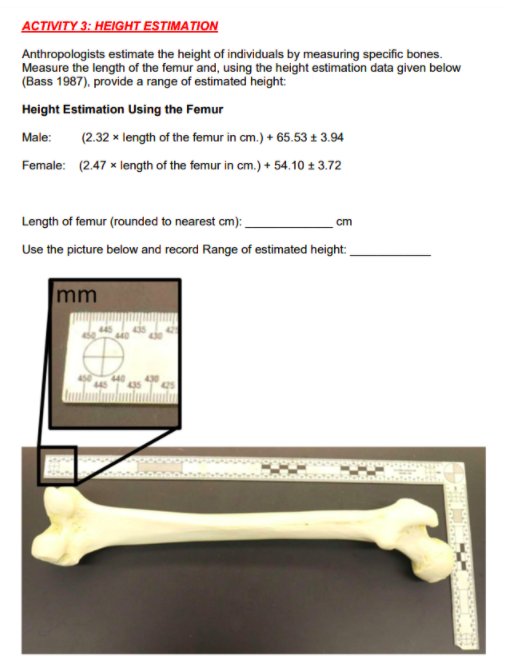 Solved ACTIVITY 3: HEIGHT ESTIMATION Anthropologists | Chegg.com