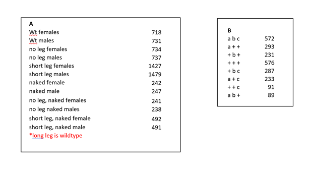 Solved Data set A summarizes F2 numbers from an F1 cross | Chegg.com