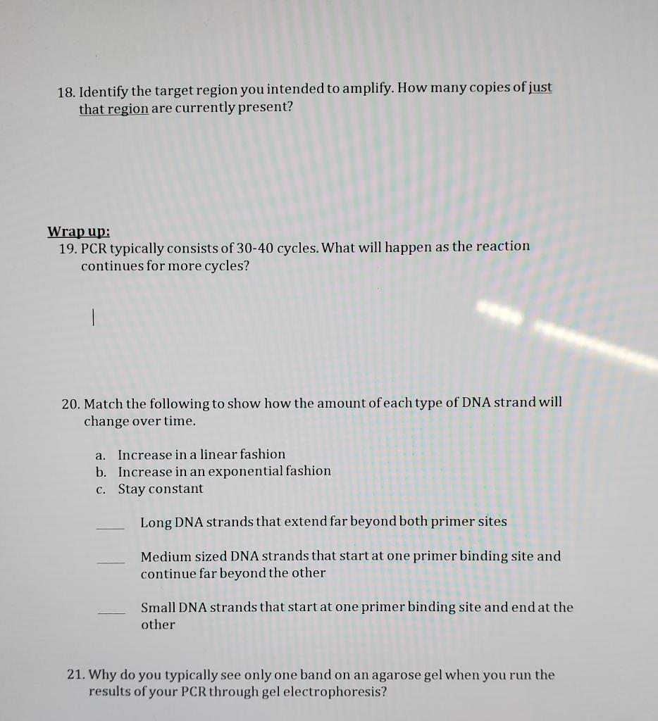 Solved A Close-Up Look at PCR The Polymerase Chain Reaction | Chegg.com