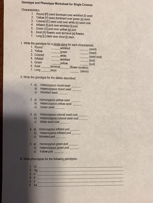 Solved Genotype and Phenotype Worksheet for Single Crosses | Chegg.com
