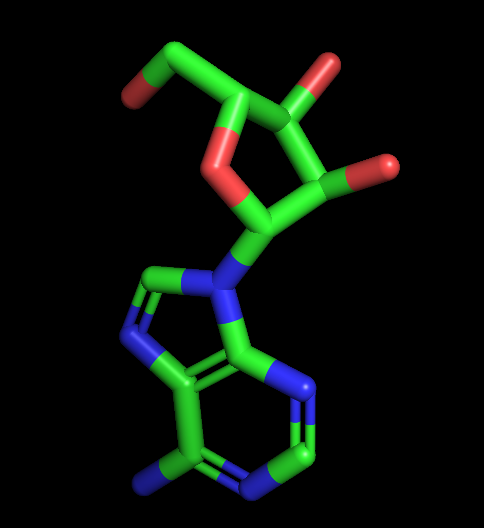 Solved Label the nucleoside structure to indicate the (a) | Chegg.com