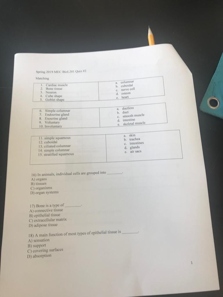 Solved Spring 2019 MIC hiol 201 Quia #2 Matching a columnar | Chegg.com