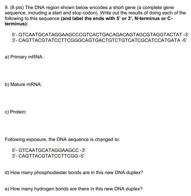 Solved 9. (8 pts) The DNA region shown below encodes a short | Chegg.com
