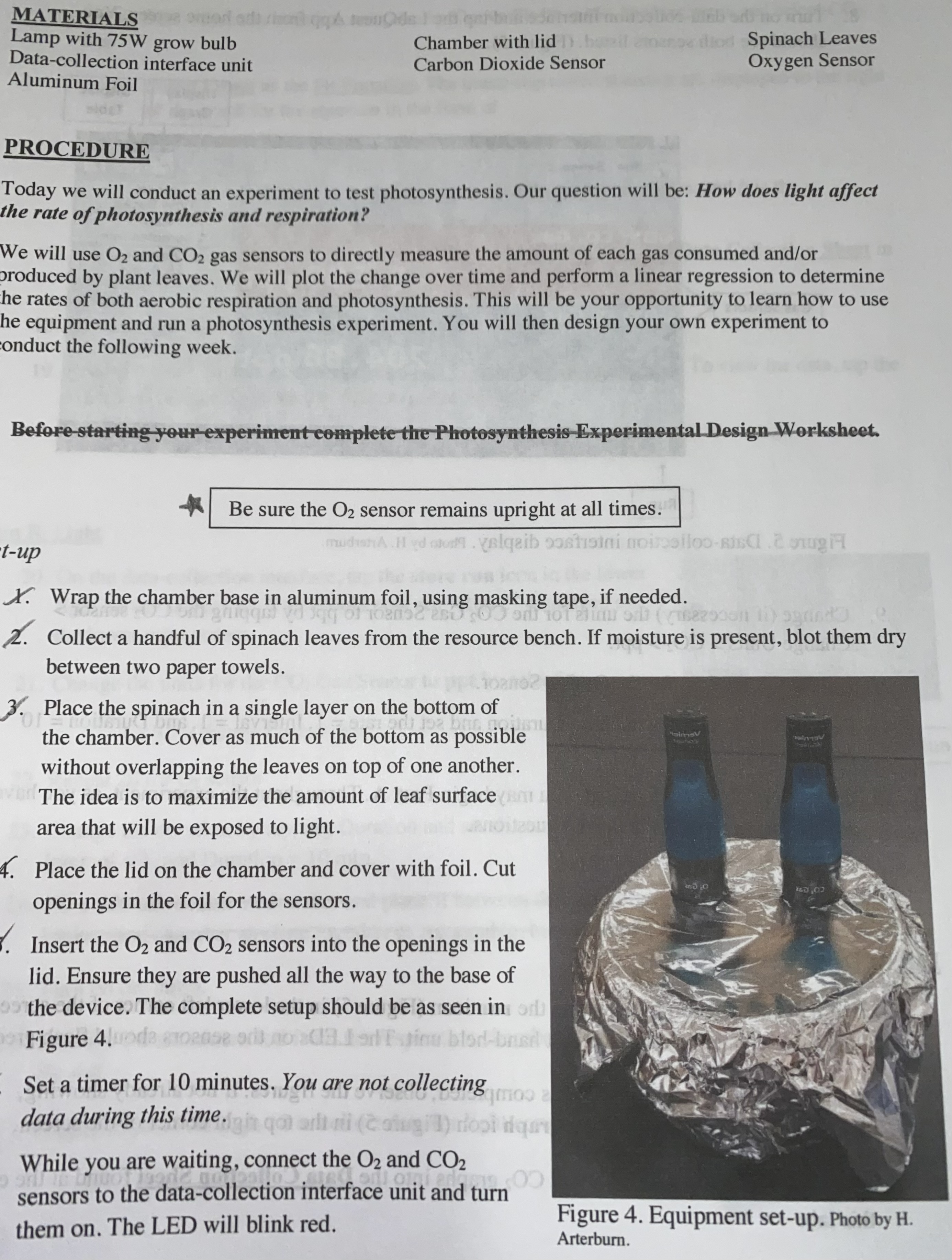 Solved please help me !!! a lab report about photosynthesis | Chegg.com