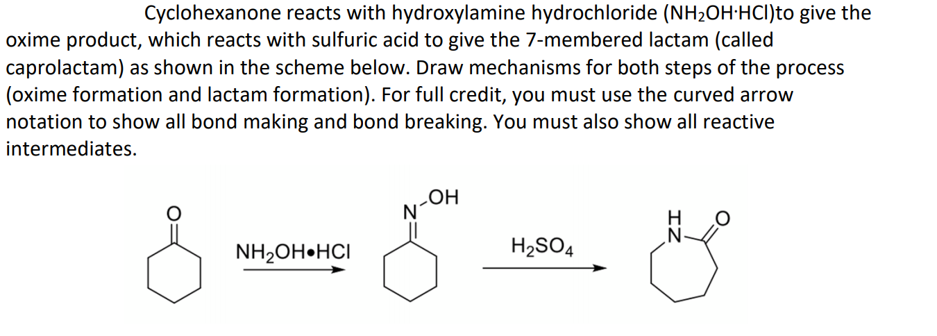 Solved Cyclohexanone reacts with hydroxylamine hydrochloride | Chegg.com