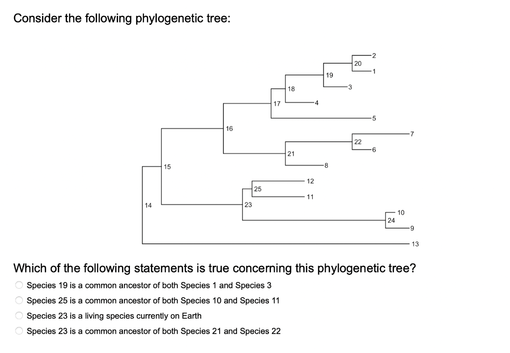 Solved Consider the following phylogenetic tree: Of the | Chegg.com