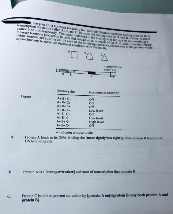 Solved In the absence of glucose, E. coli can proliferate by | Chegg.com