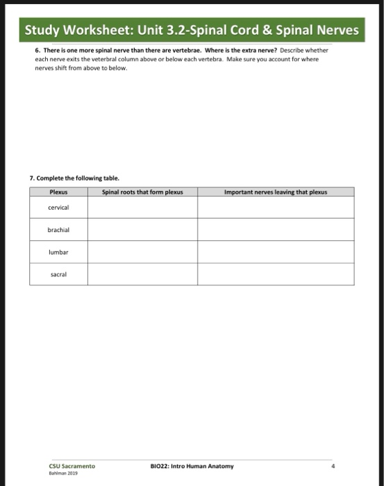 Solved Study Worksheet: Unit 3.2-Spinal Cord & Spinal Nerves | Chegg.com