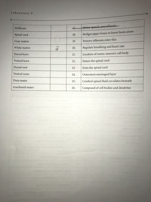Solved PRE-LABORATORY ASSIGNMENT To be handed in to your | Chegg.com