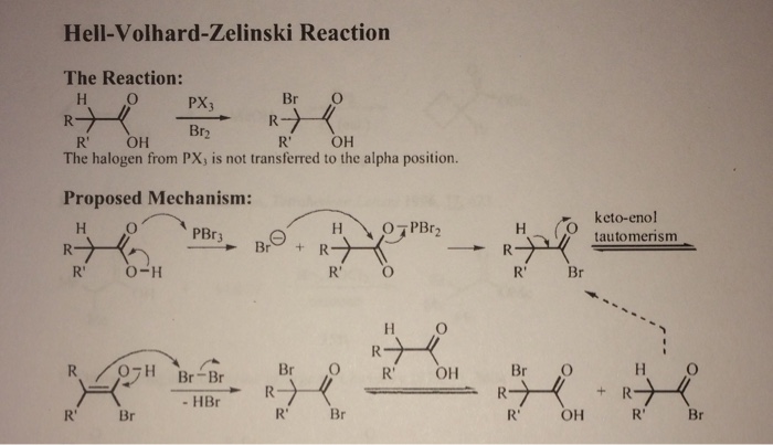 Solved Hell-Volhard-Zelinski Reaction The Reaction: PX Br2 | Chegg.com