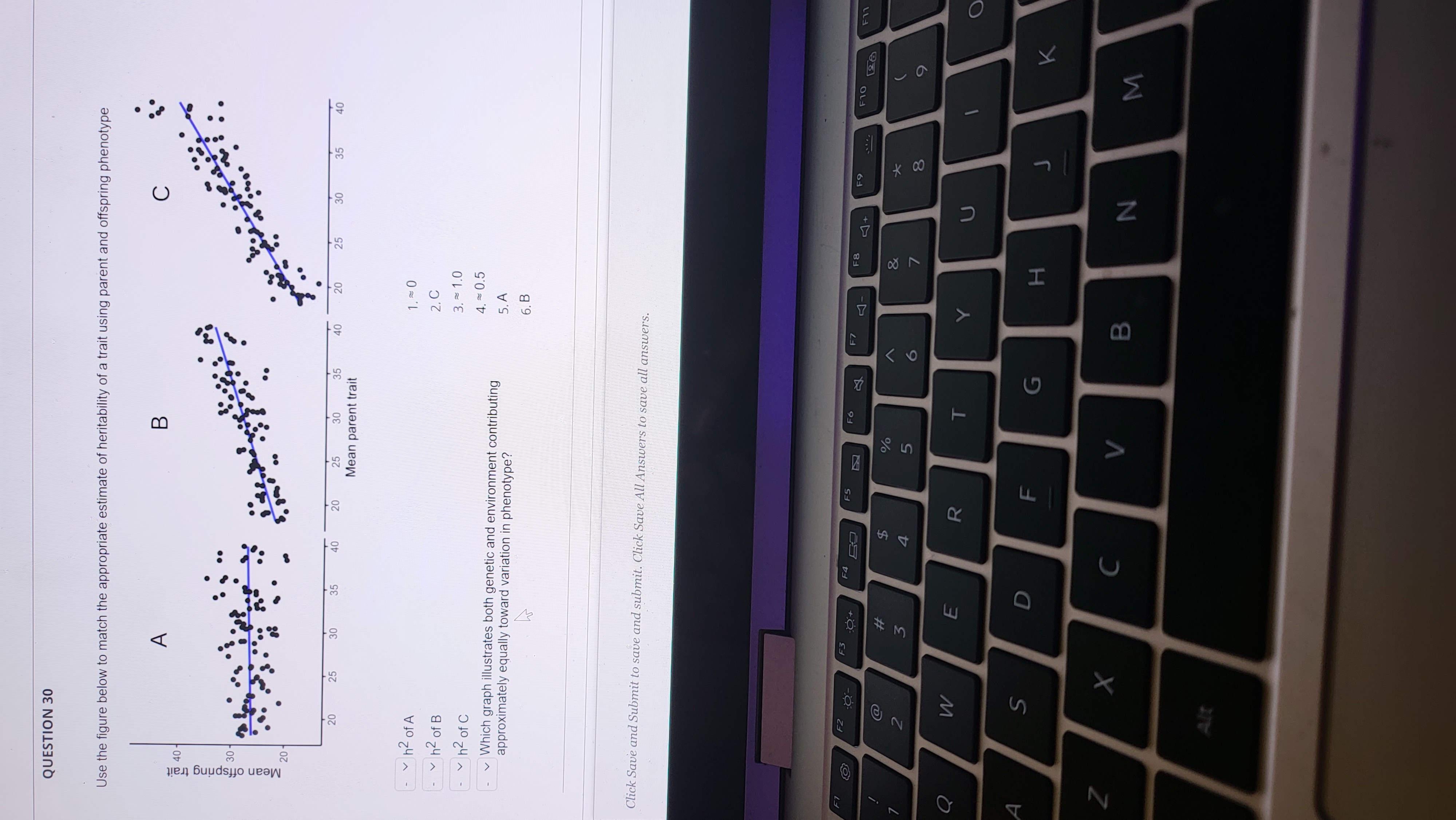 Solved Use the figure below to match the appropriate | Chegg.com