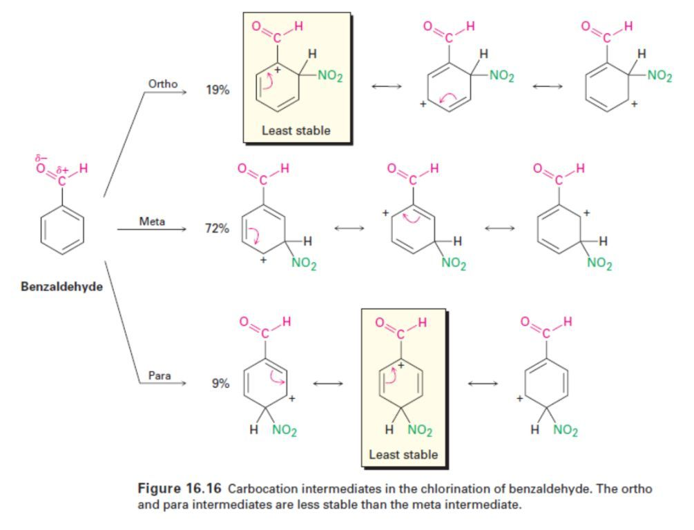Solved Explain why ortho & para positions are least stable | Chegg.com