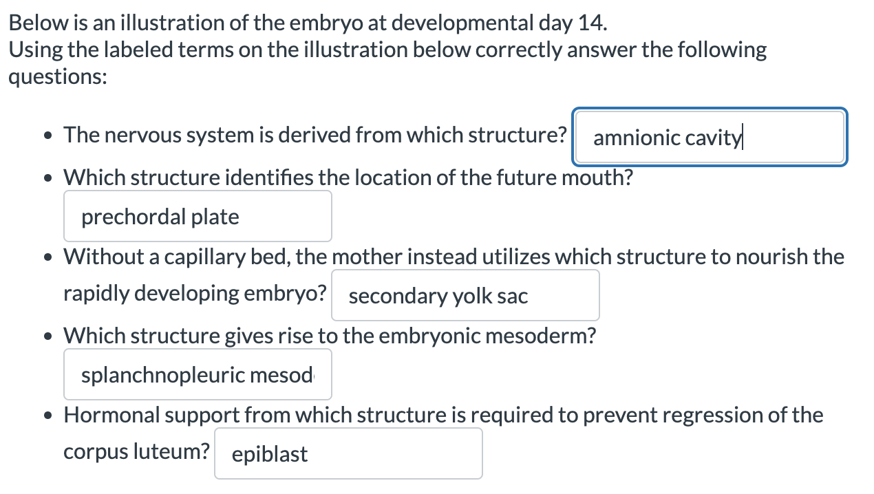 Solved Can someone help me to check the answers? I m not | Chegg.com