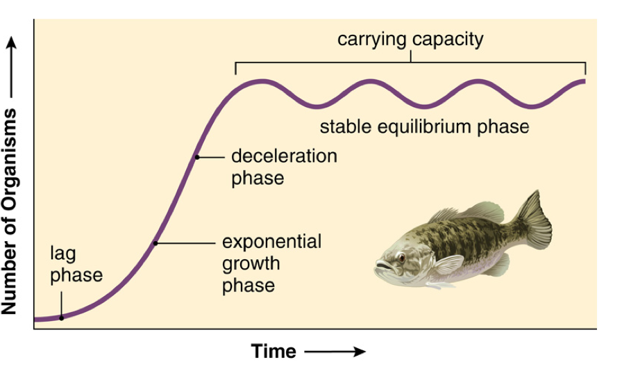 Solved 19. Figure 2 below illustrates the increase in | Chegg.com