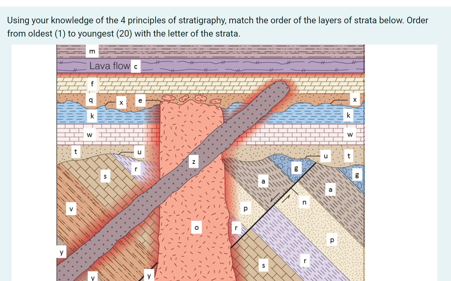 Using your knowledge of the 4 principles of | Chegg.com