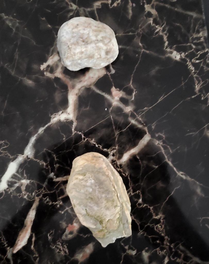 Solved Can you tell me the name of these two sedimentary | Chegg.com