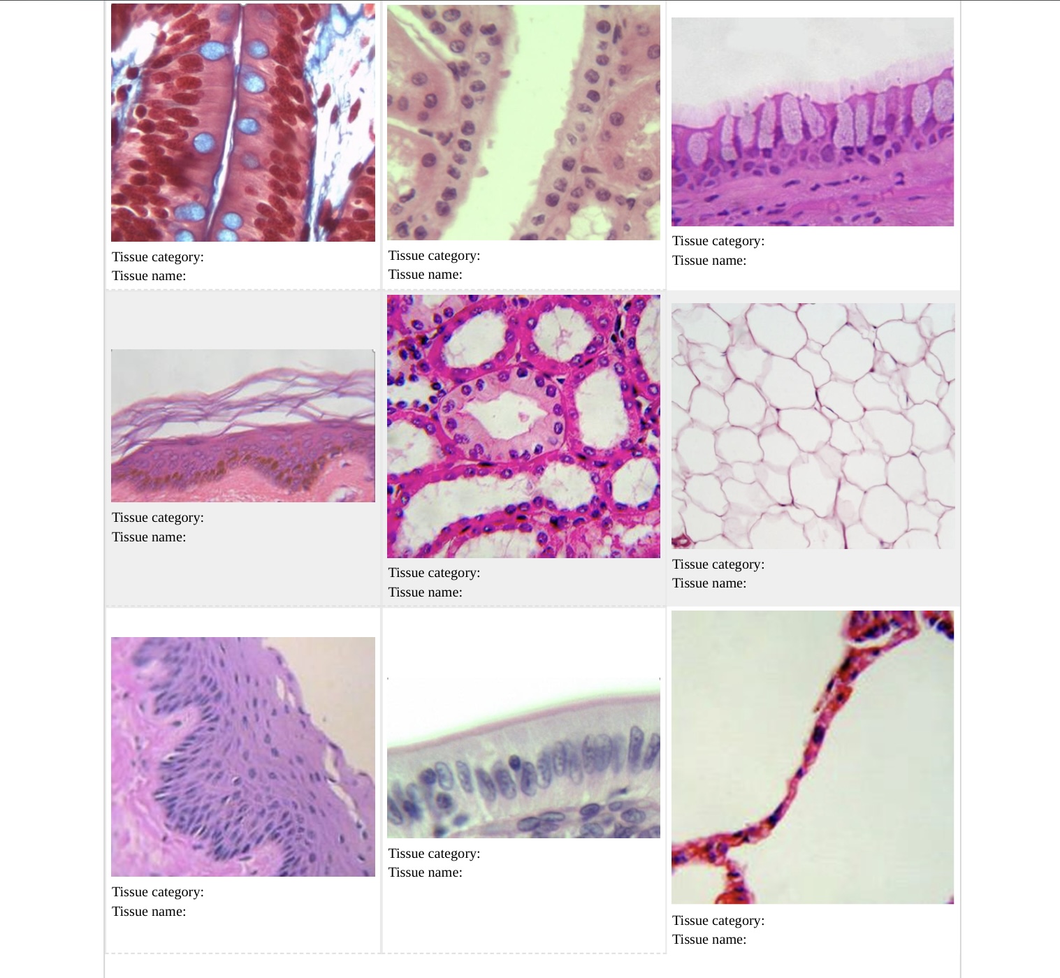 Tissue category:Tissue name:Tissue category:Tissue | Chegg.com