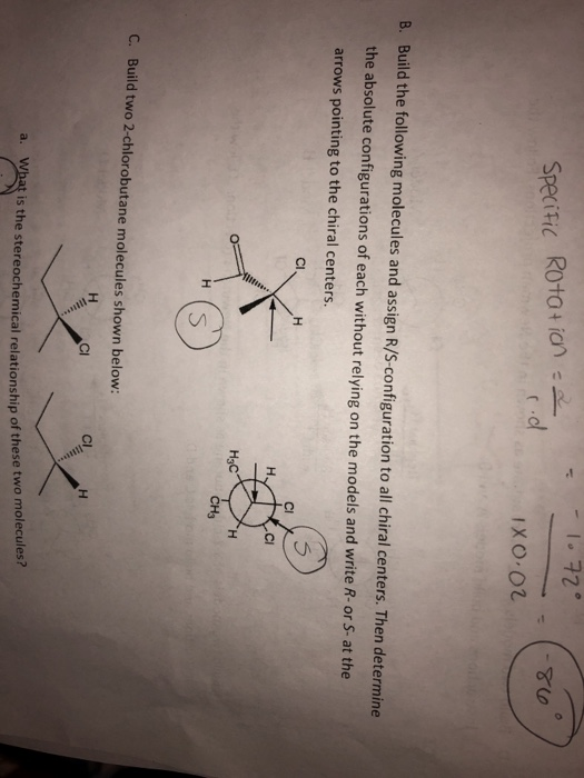 Solved -1.72° Specific Rotation and (-86° 180.02 B. Build | Chegg.com