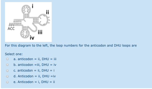 Solved ACCE For this diagram to the left, the loop numbers | Chegg.com