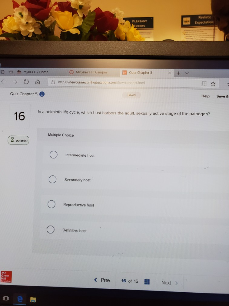 Solved PLEASANT EVENTS Realistic Expectation myBCCC / Home | Chegg.com