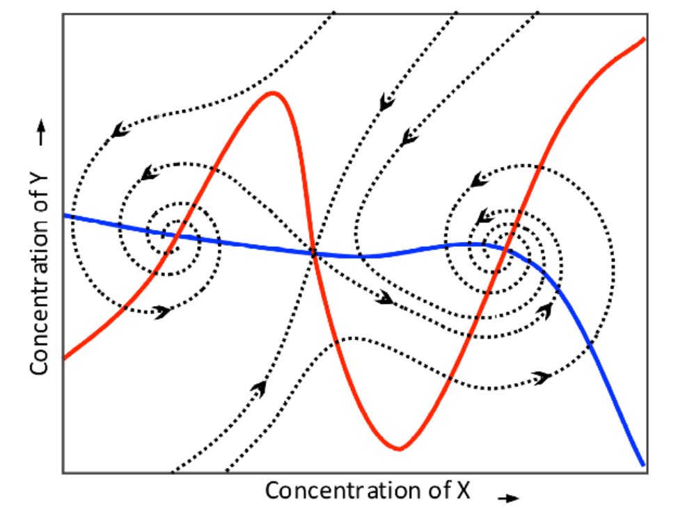 The schematic graph above represents the nullclines | Chegg.com