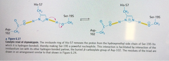 Solved Note in the figure 6.27 the catalytic triad of | Chegg.com