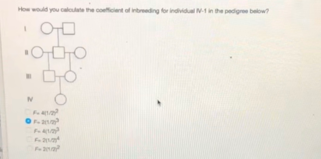 Inbreeding Coefficient Formula