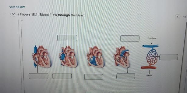 Solved Question | Chegg.com